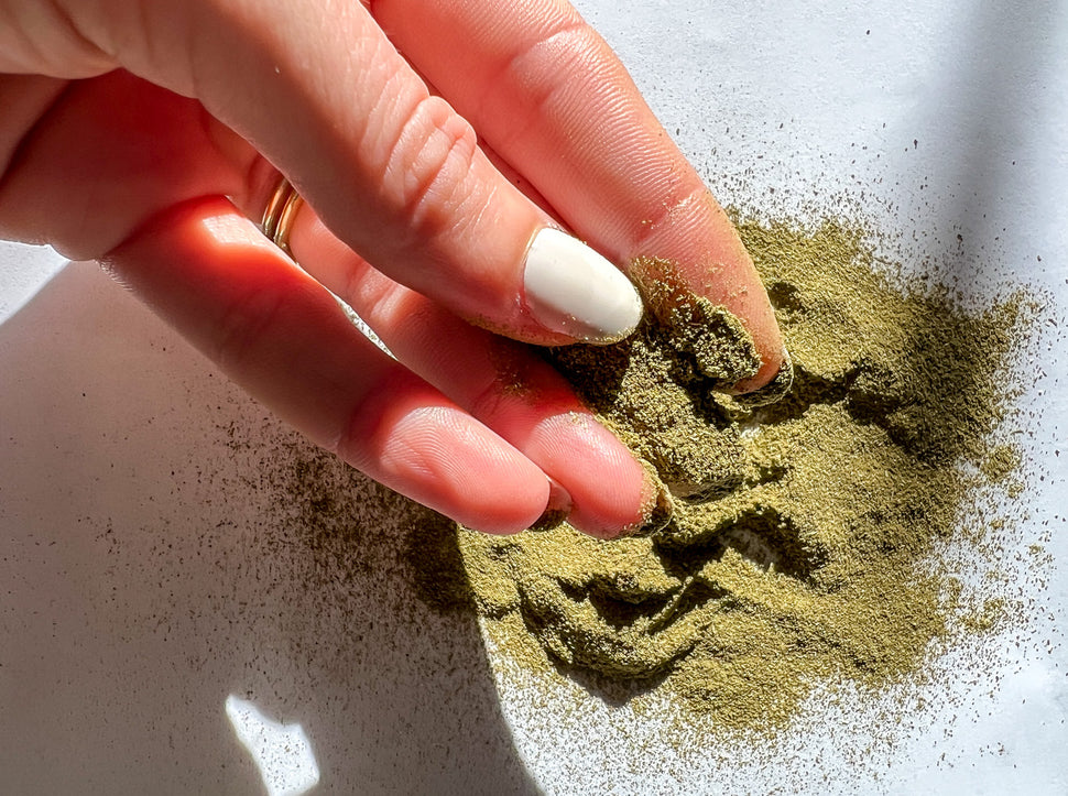 Spice Advice: Gumbo Filé Sassafras – Spicewalla