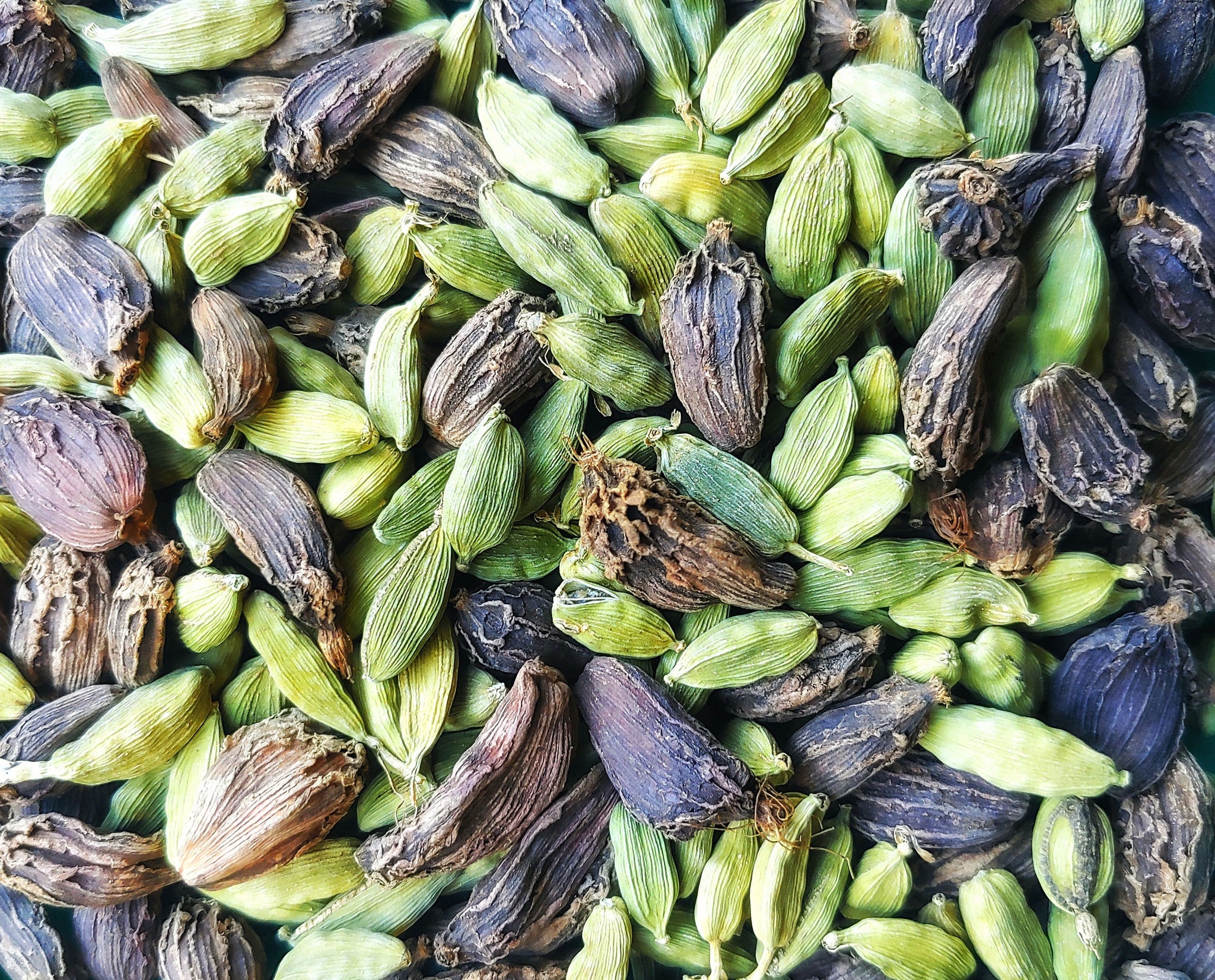 Spice Advice: Cardamom – Spicewalla